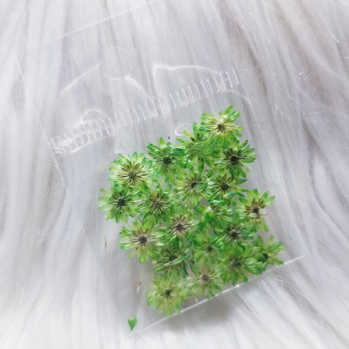 Girasoles – Sarobey Glitter